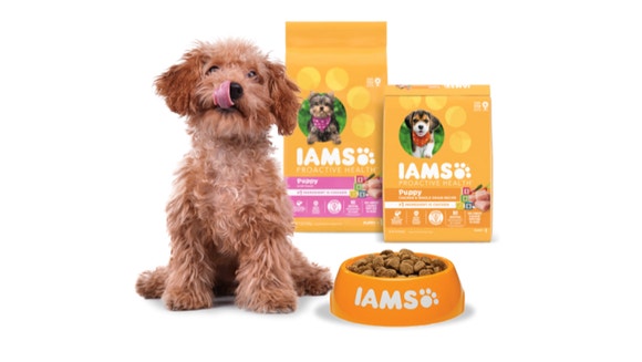 Puppy Hub | IAMS Canada